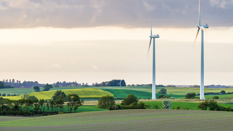 Across borders for a sustainable future