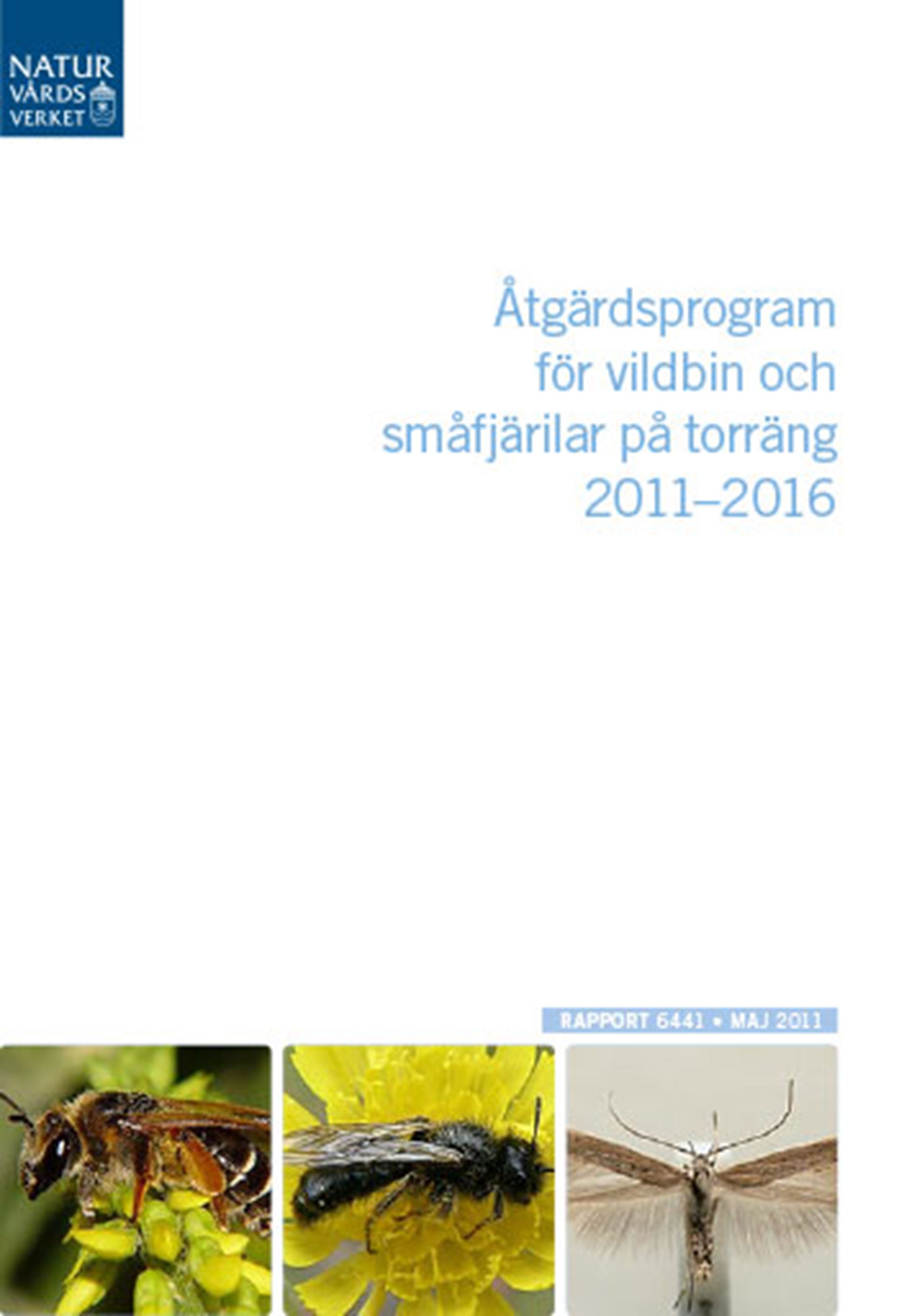 Åtgärdsprogram för vildbin och småfjärilar på torräng