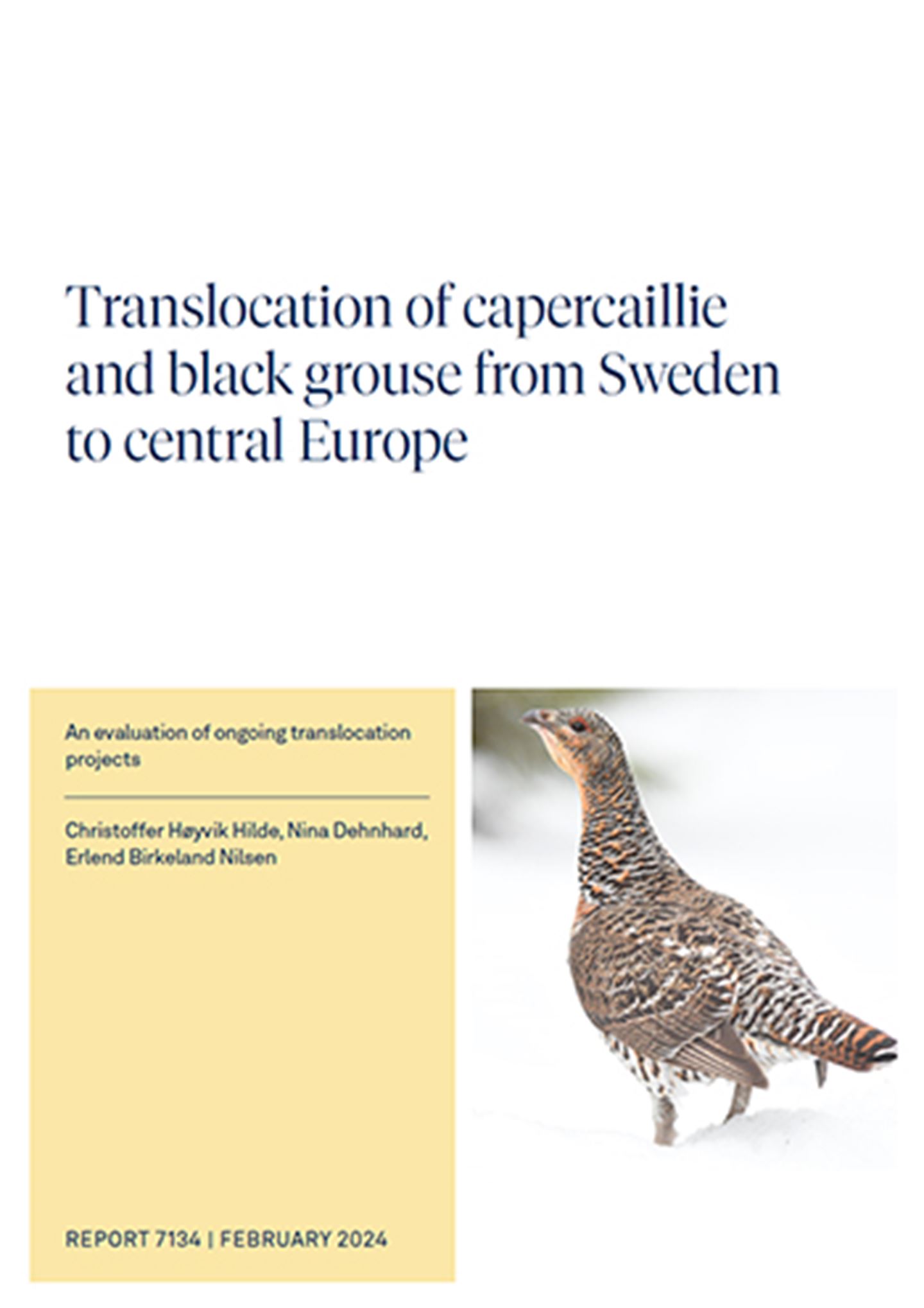Translocation of capercaillie and black grouse from Sweden to central ...