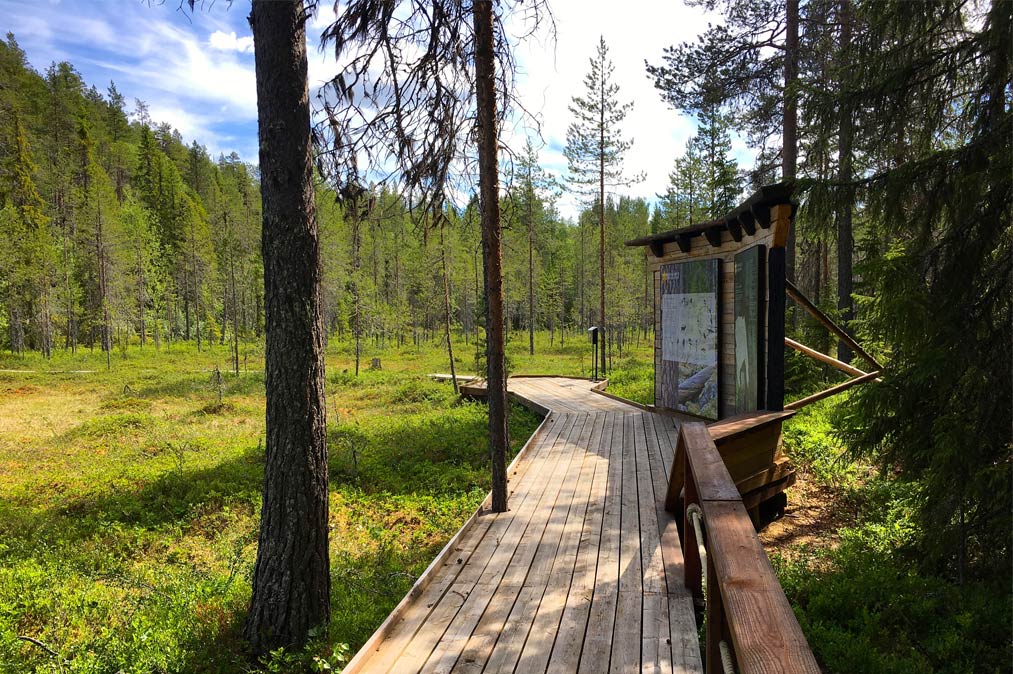 Kriminell av misstag | Sida 10 | Utsidans forum