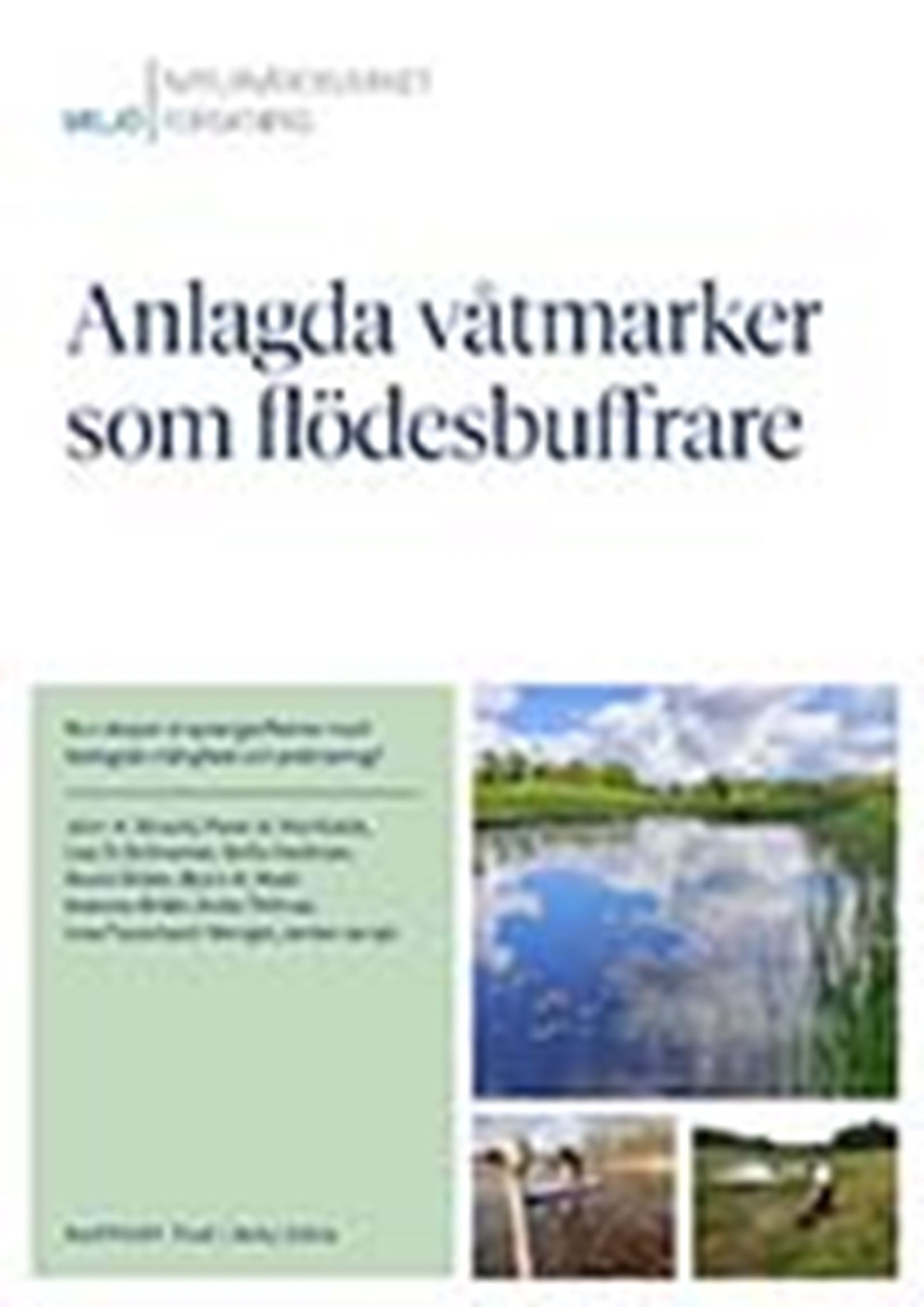 Anlagda våtmarker som flödesbuffrare