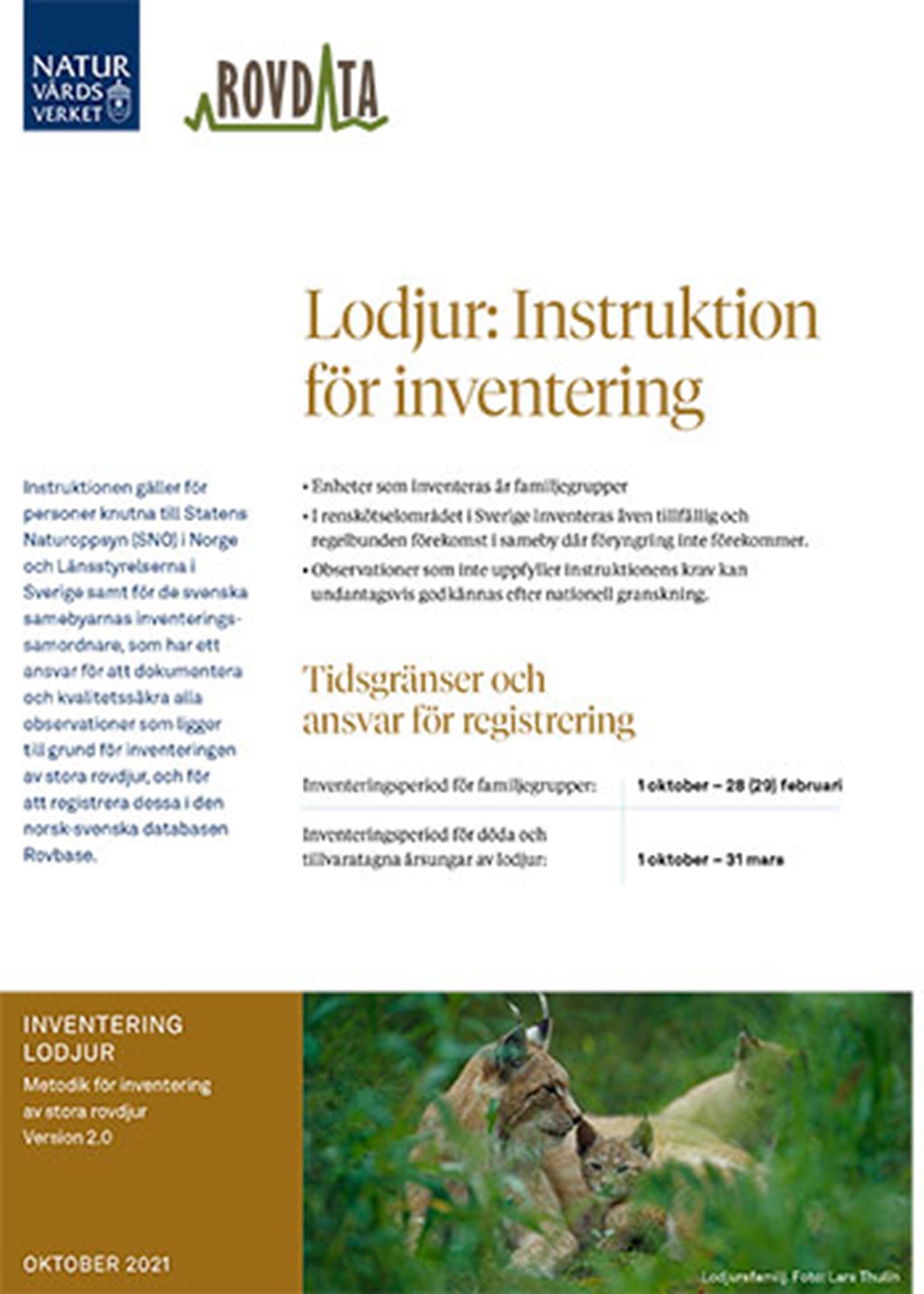 Lodjur: Instruktion för inventering