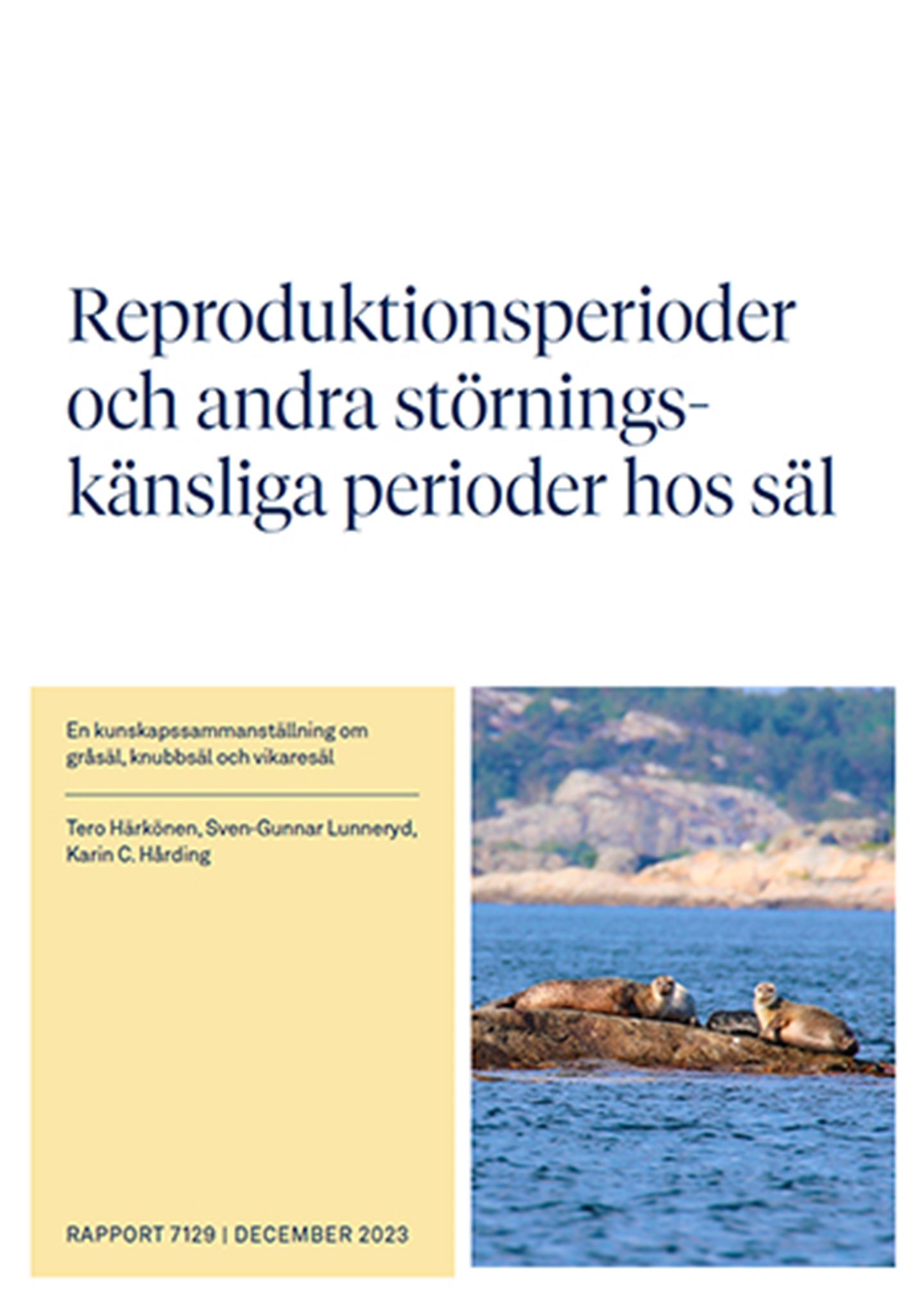 Reproduktions­perioder och andra störningskänsliga perioder hos säl