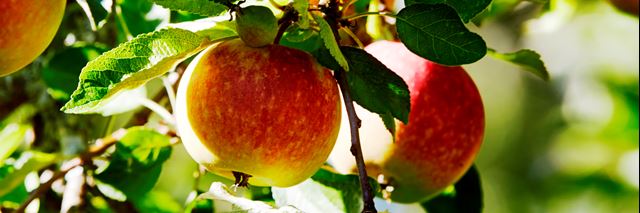 Swedish Environmental Protection Agency